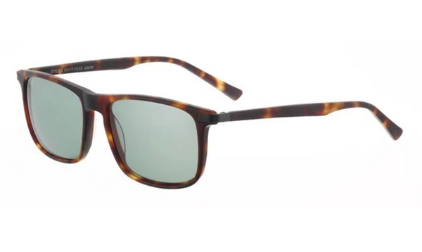 Entourage of 7 - Watts-Sun (Brown) – Good See Co.